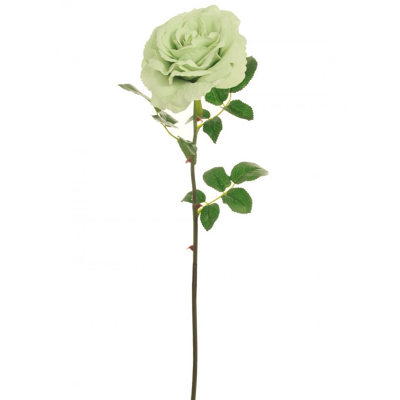 Rose Tudor Mint Green | Artificial Flowers, Rose, Single Varieties ...