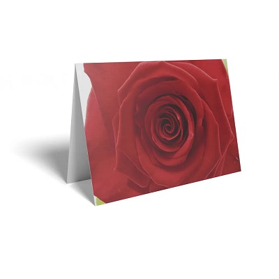 Deep Red Rose Folding Card | Cards & Envelopes, Florist Supplies ...