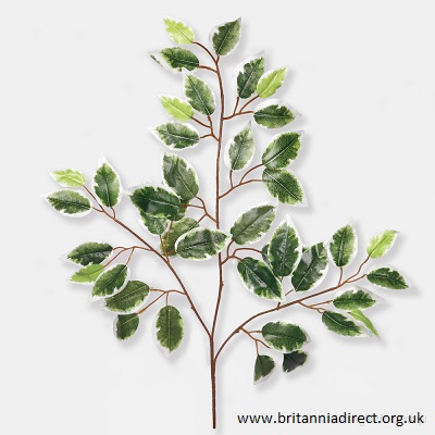 Ficus Variegated Spray Light Green | Artificial Flowers, Foliage, New ...